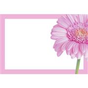 Floral Elegance Message Cards | Smithers Oasis Floral Products ...