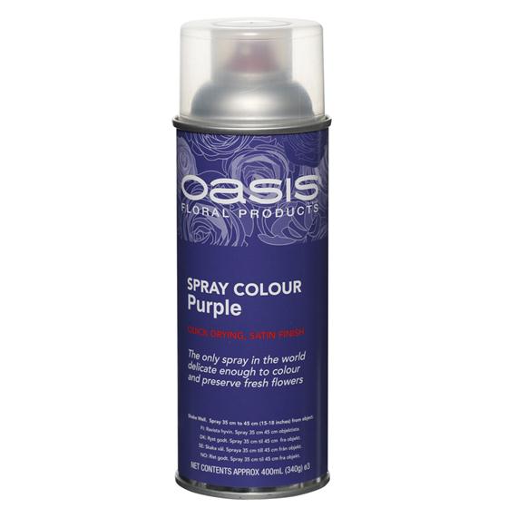 Purple Floral Spray Paint Colour - Oasis item code: 30-05373