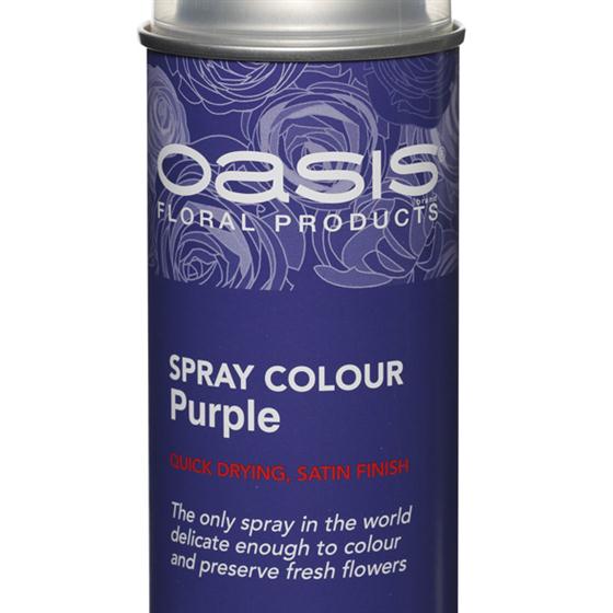 Purple Floral Spray Paint Colour - Oasis item code: 30-05373