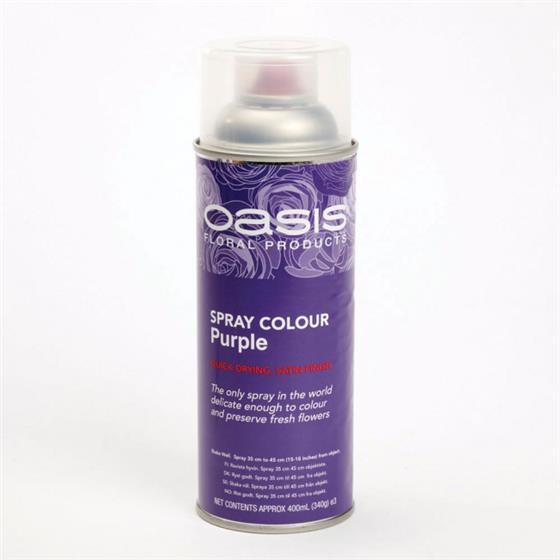 Purple Floral Spray Paint Colour - Oasis item code: 30-05373
