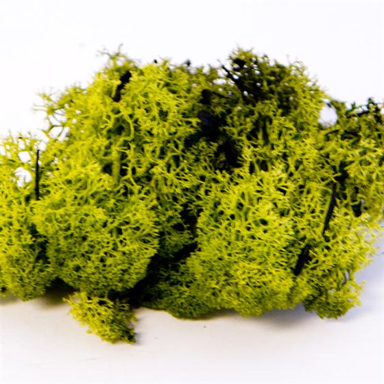 Olive Green Finland Moss 500g Bag - Oasis item code: 7140